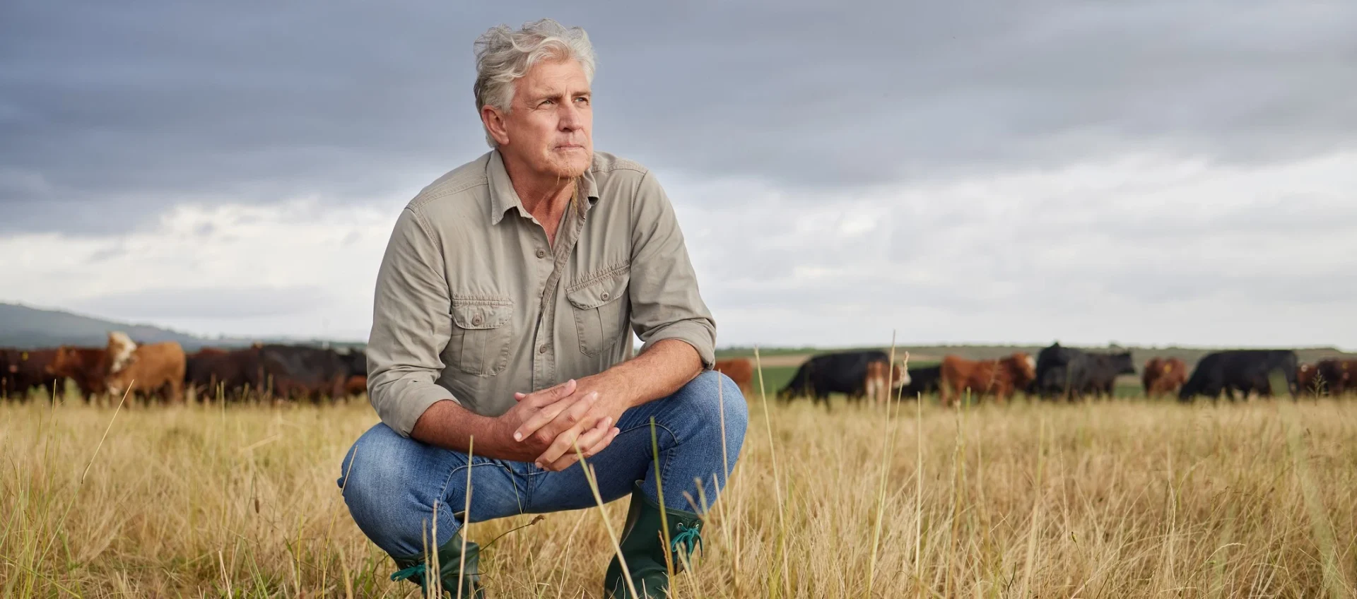 Cheguei aos 60 anos e agora? O que fazer e benefícios